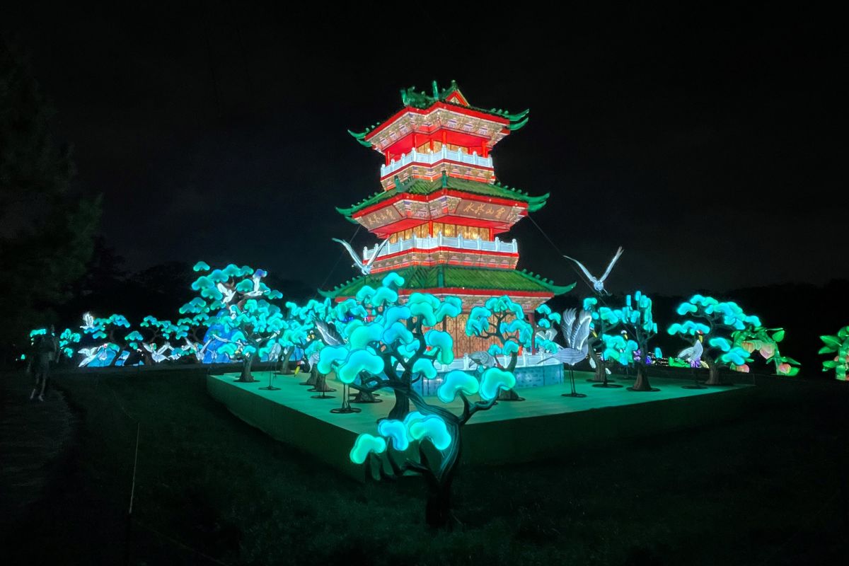 Houston Botanic Garden’s Popular 'Radiant Nature' Show Returns ...