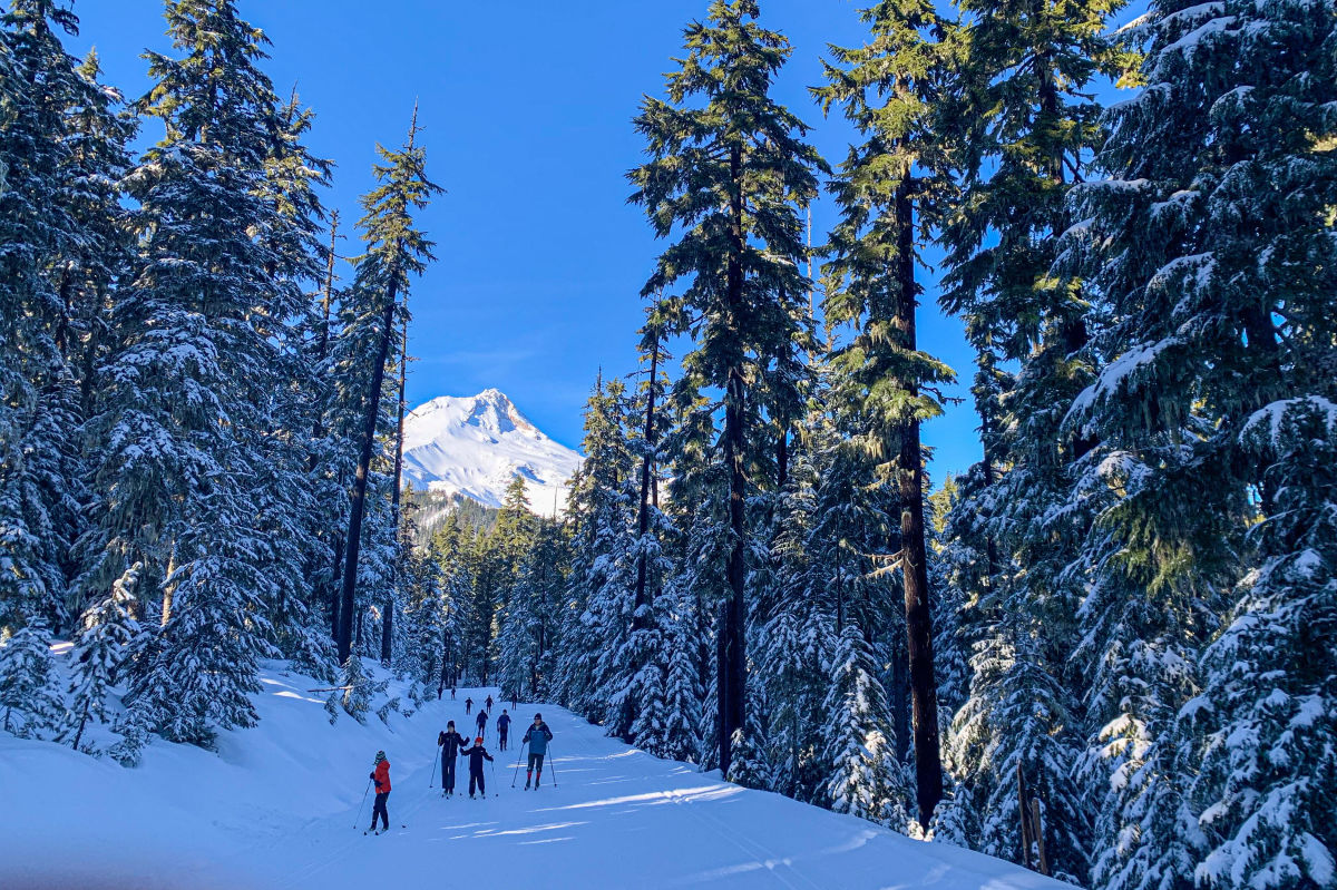 Where to Sled, Snowshoe, and Play in the Snow in Oregon | Portland Monthly