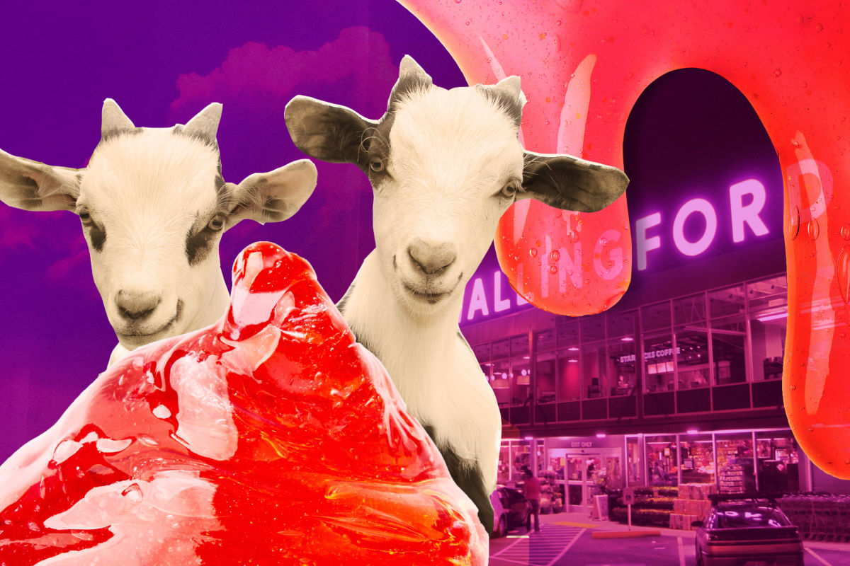 Weirdest Seattle News of 2022 | Seattle Met