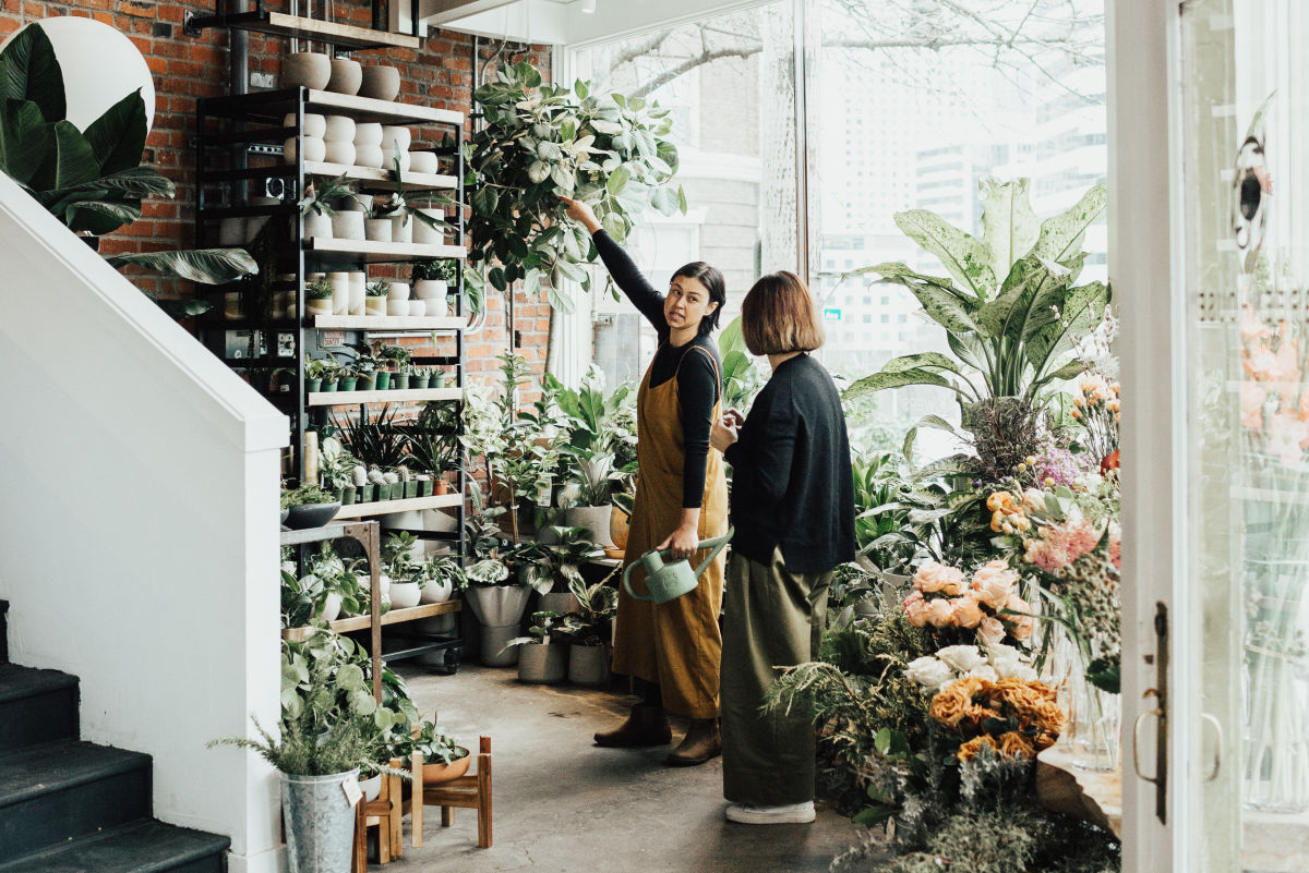 Glasswing Just Opened a Lush Greenhouse on Capitol Hill. And It's ...
