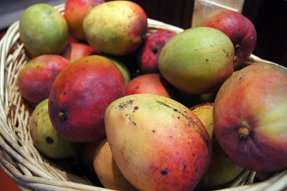 Florida Mango Mania Road Trip! | Sarasota Magazine