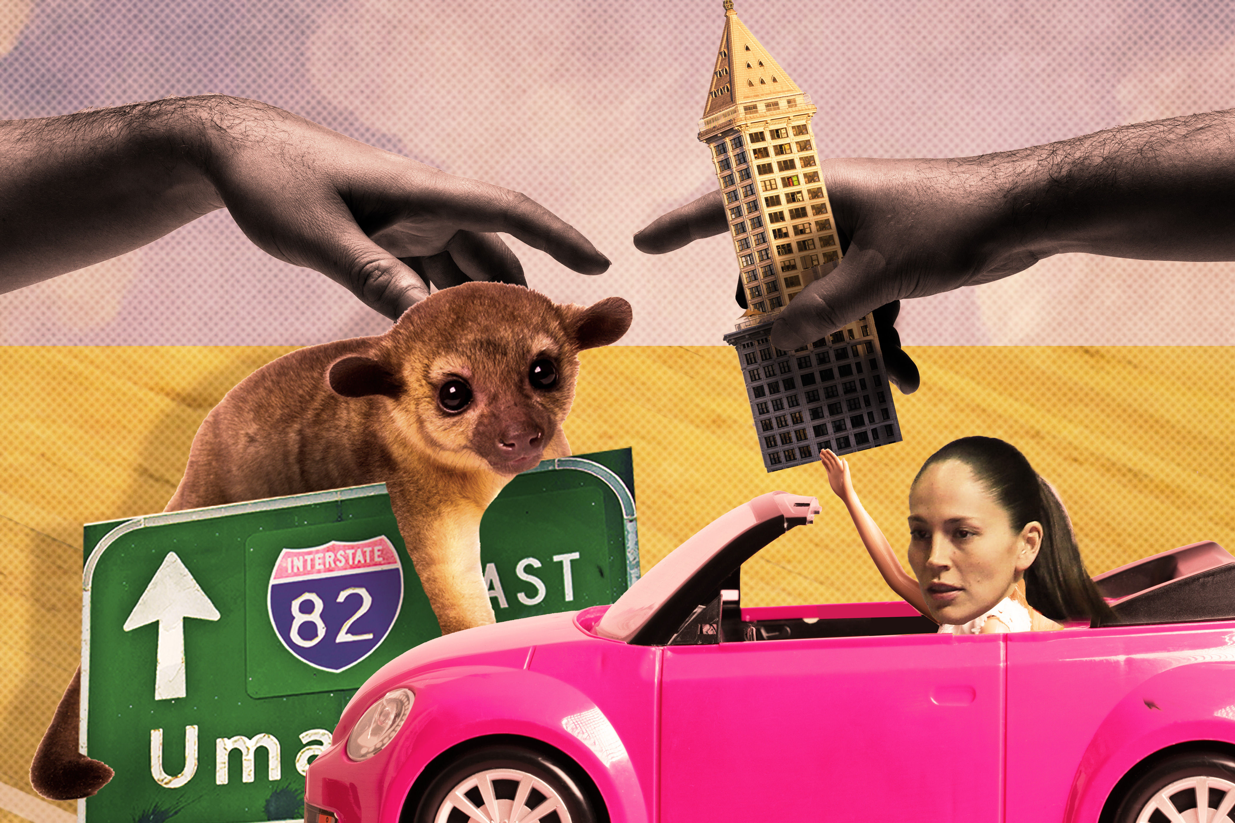 How (and Why) to Start Bird-Watching in Seattle | Seattle Met