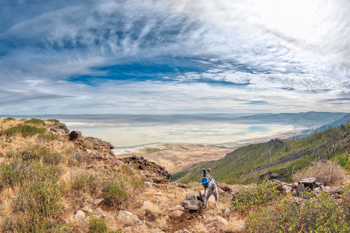 The Oregon Outback Offers Up Otherworldly Views and Healing Hot Springs ...