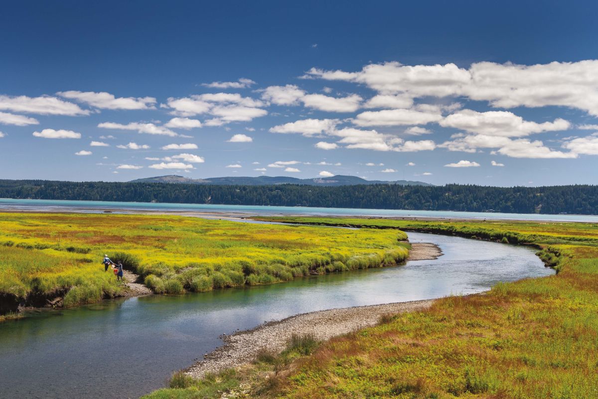Slurp Oysters and Geoduck Along This Dramatic Puget Sound Fjord ...