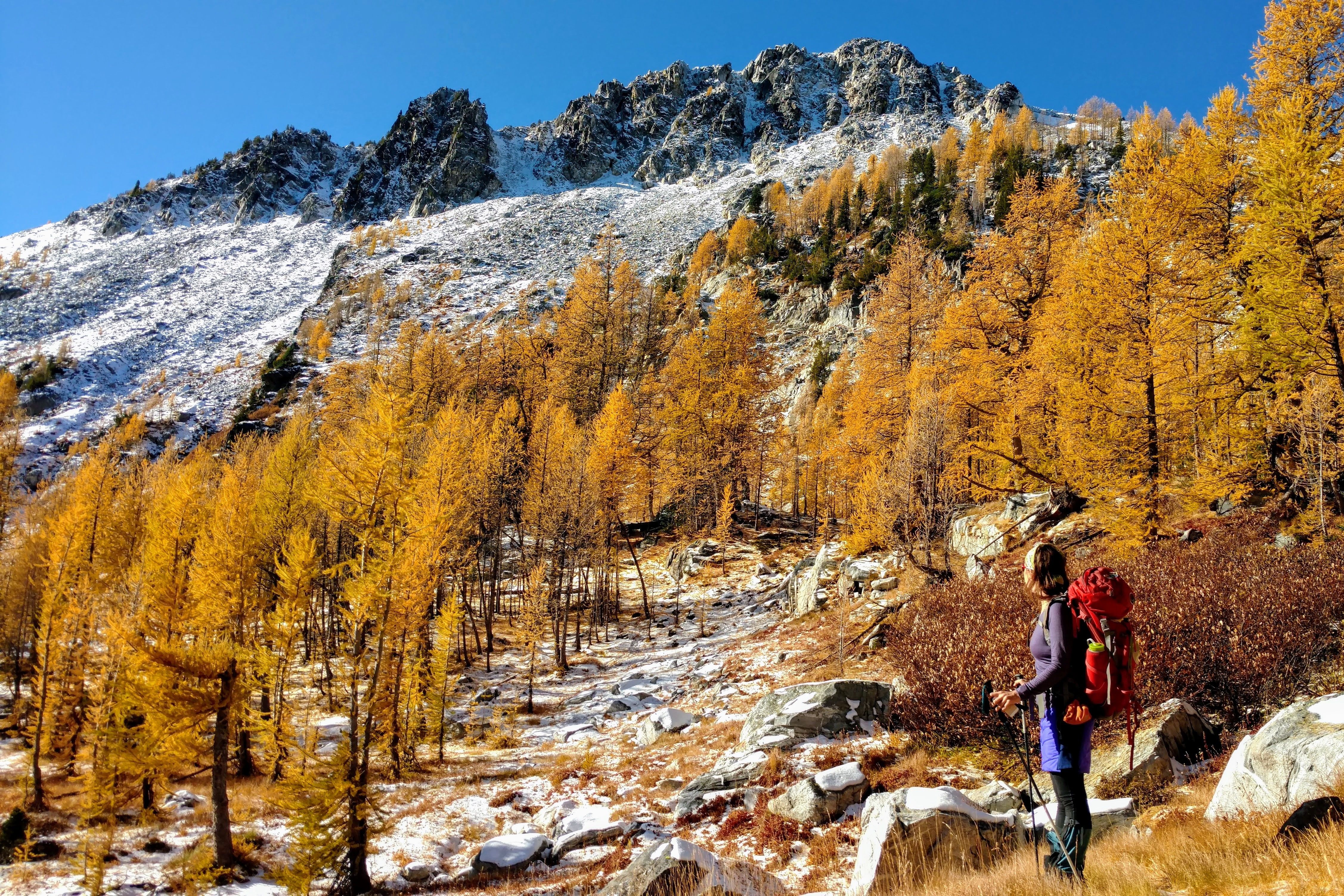 Where on Earth Is Sam Sayers? | Seattle Met