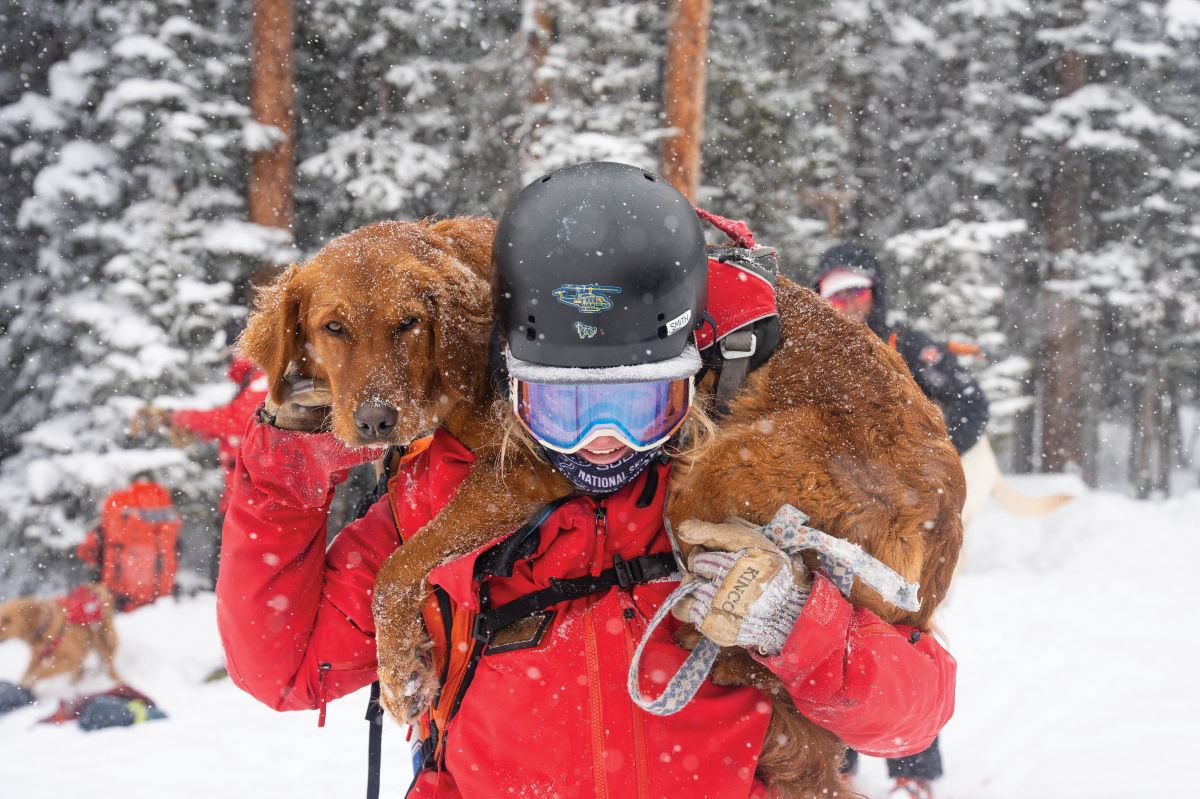Colorado Snow Dogs | Aspen Sojourner