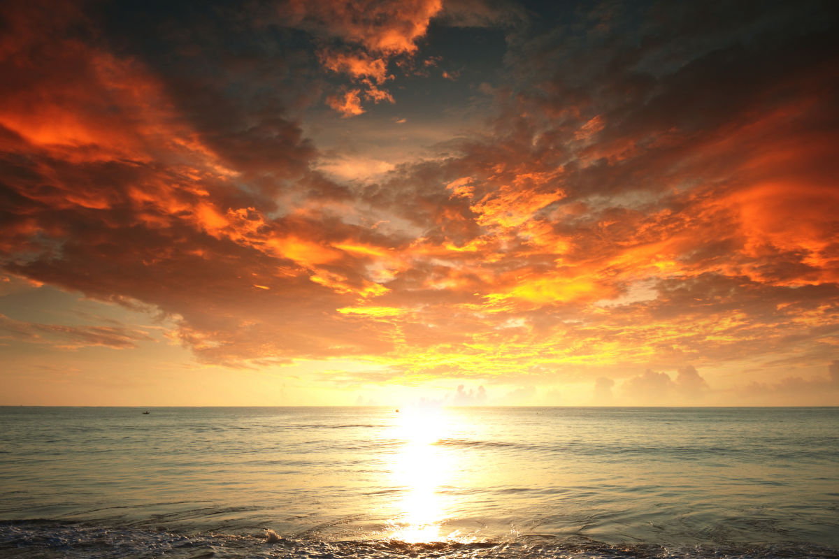 Sarasota County is Livestreaming Sunsets Tuesdays and Fridays ...