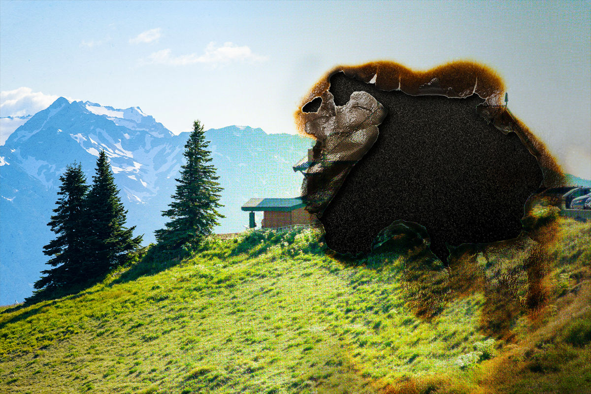 Washington's Hurricane Ridge Reopens, But There's a Line for the ...