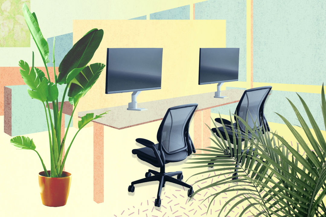 Can Healthier Buildings Make Us Healthier People? | Seattle Met