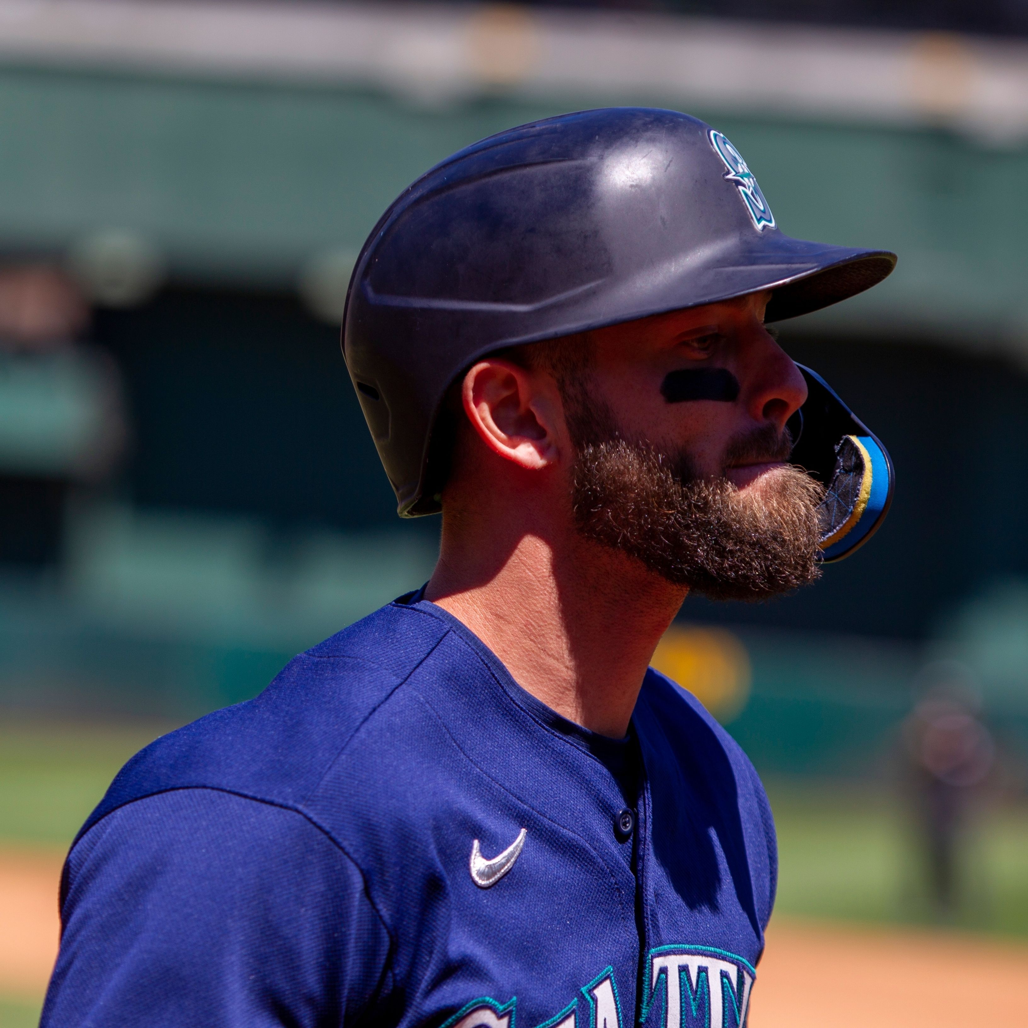 Conor P. Fitzgerald / shutterstock.com | Seattle Met