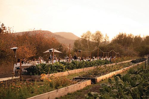Gracie’s Farm Harvest Series at the Lodge at Blue Sky | Park City Magazine