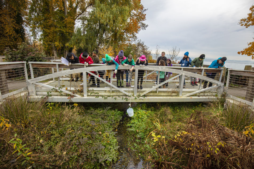 IslandWood - 2 Decades of Environmental Education Growing the Next ...
