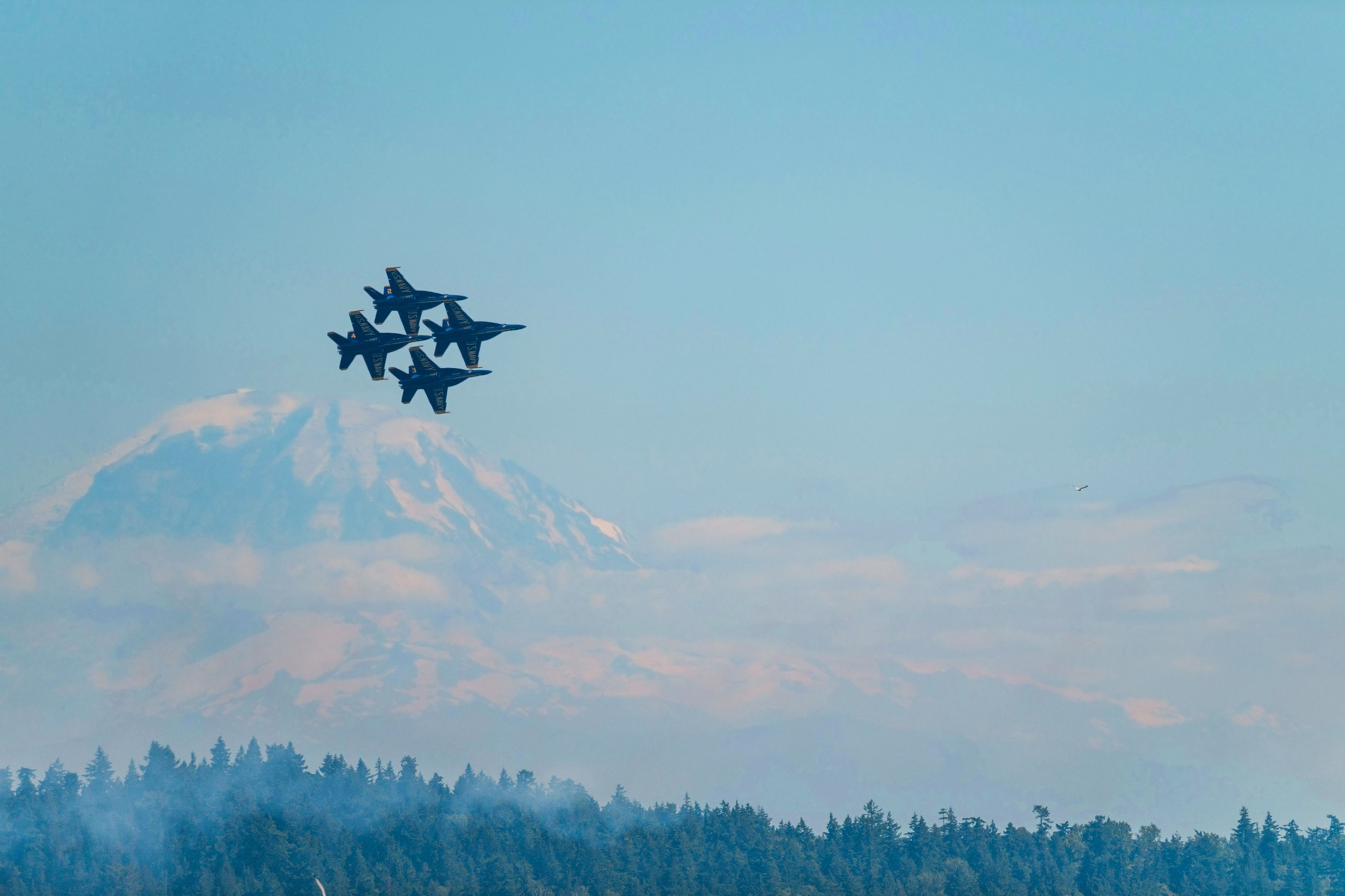 How to Watch the Perseid Meteor Shower in Washington | Seattle Met