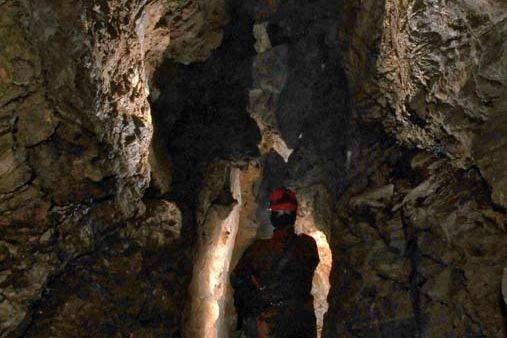 Into the Void | Seattle Met