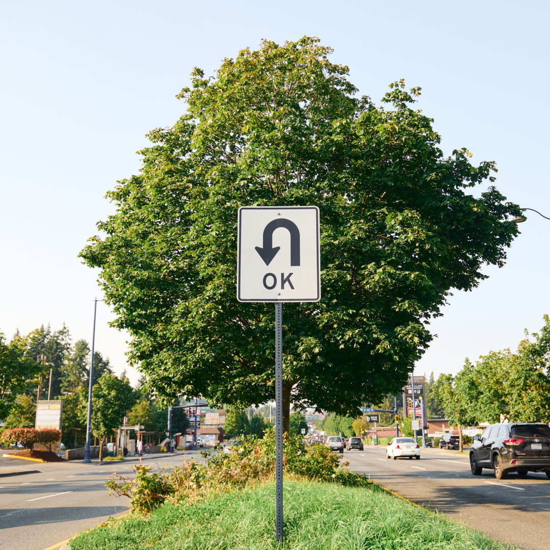 How I Grew to Love Seattle's Aurora Avenue | Seattle Met How I Grew to Love Seattle's Aurora Avenue | Seattle Met