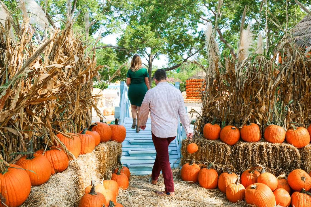 Fall-ing for Dallas | Houstonia Magazine