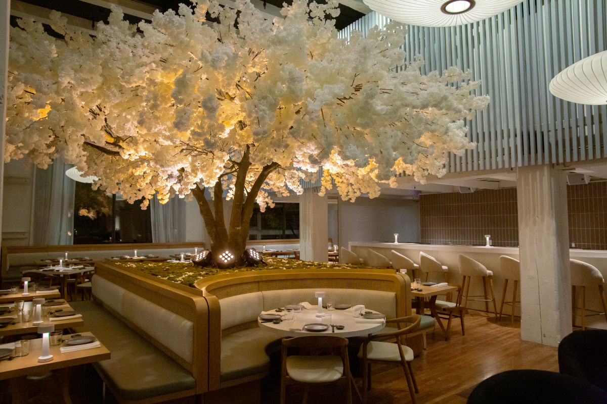 Janken, An Upscale Pan-Asian Restaurant, Opens at the Foot of Wieden ...