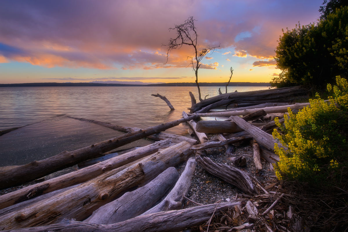 Which Washington State Park Should You Visit? | Seattle Met