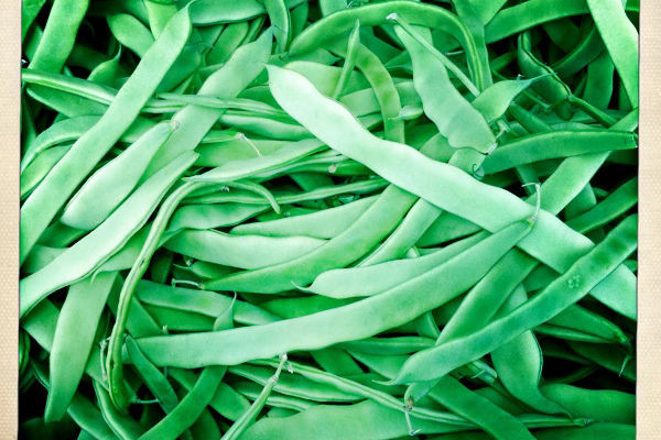 Beaned Again | Portland Monthly