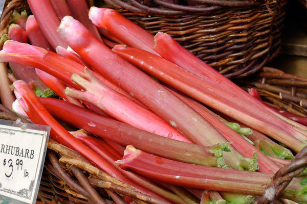 Sugar is Sweet, Rhubarb is Sour, and its Prime is the Springtime Hour ...
