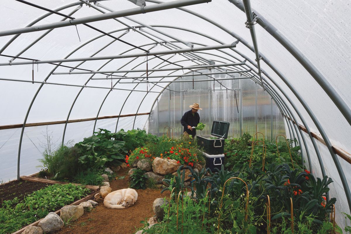 The Making of Knapp Ranch | Vail-Beaver Creek Magazine