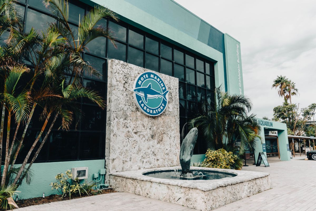 How to Spend a Day at Mote Aquarium | Sarasota Magazine