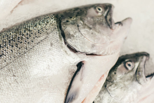 Fish Tale | Seattle Met