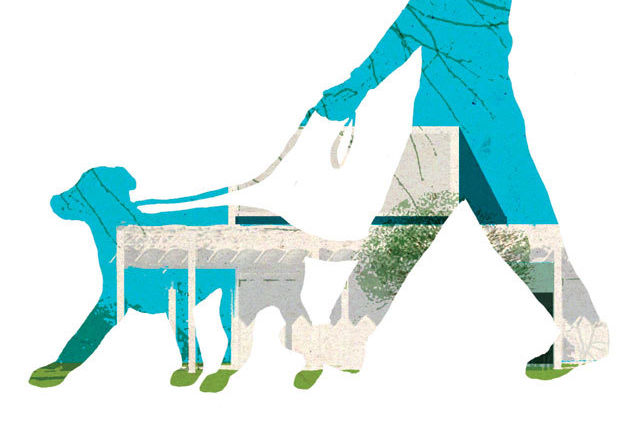 Memoirs of a Daily Dog-Walker | Houstonia Magazine