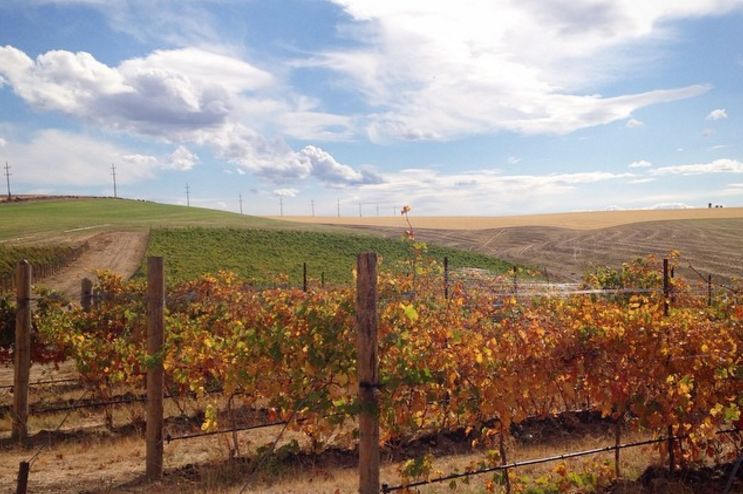 Why Walla Walla Should Be on Your Fall Travel Agenda | Portland Monthly