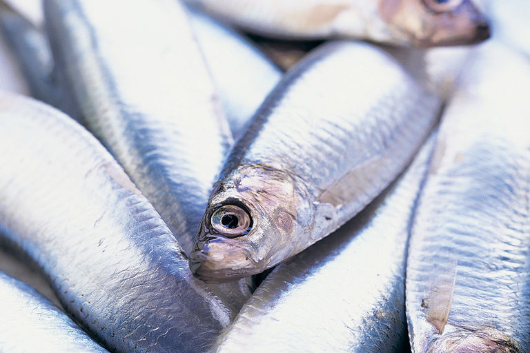 Recipe: House-Cured Anchovies | Portland Monthly