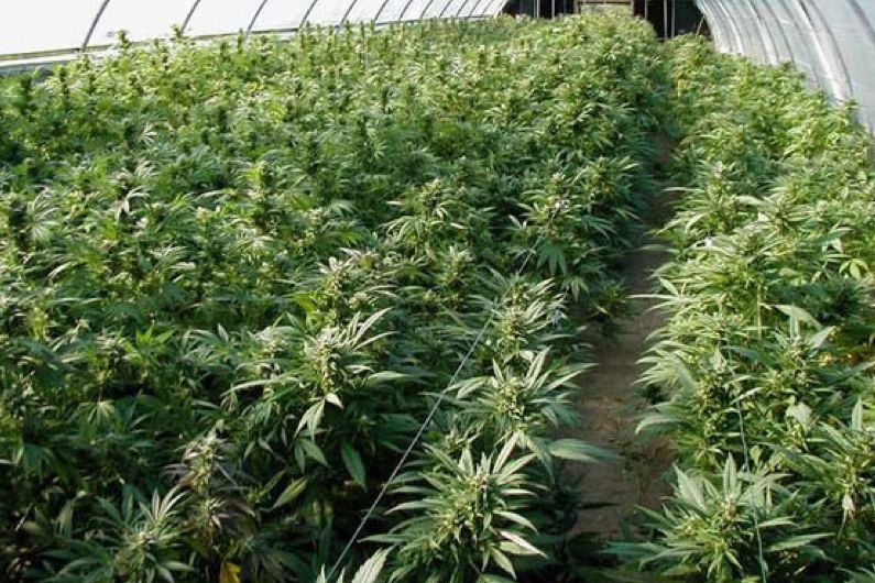 Candidate Maurice Classen: Decriminalize Pot Now, Legalize Later ...