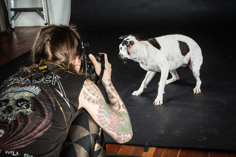 How Carli Davidson is Reinventing Pet Photography | Portland Monthly