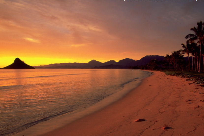 Falling for O'ahu | Seattle Met