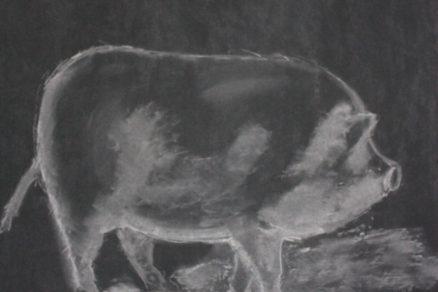 Lecosho Opens Along the Harbor Steps | Seattle Met