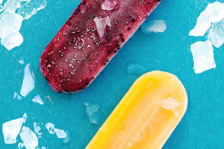 The Hyppo Specializes in Unorthodox Popsicles | Sarasota Magazine