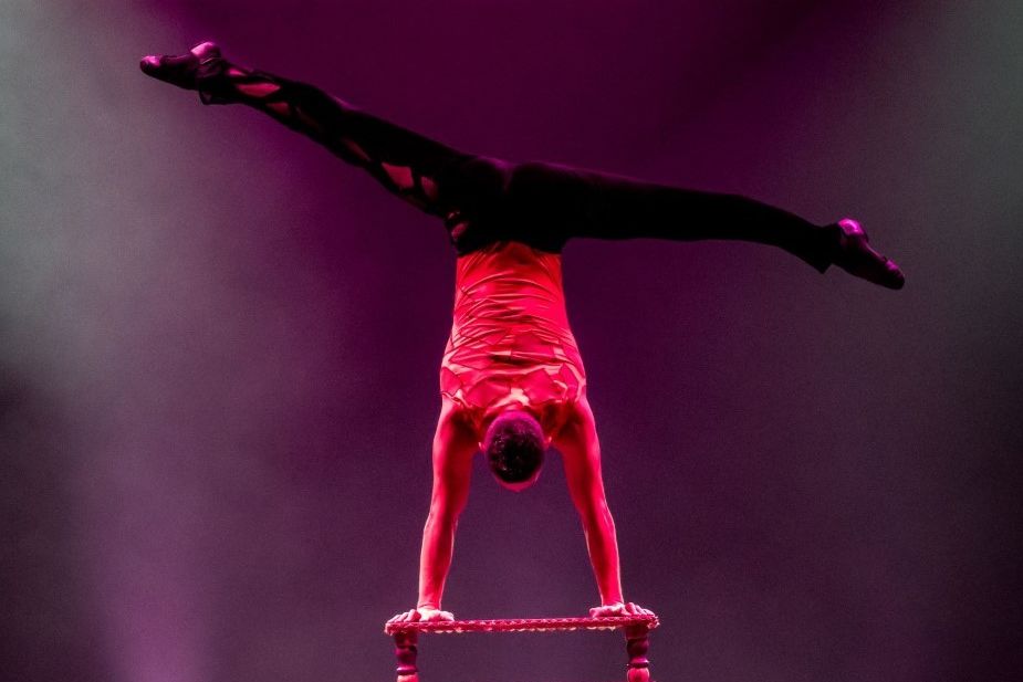 It's Your Last Chance to See the Summer Circus Spectacular | Sarasota ...