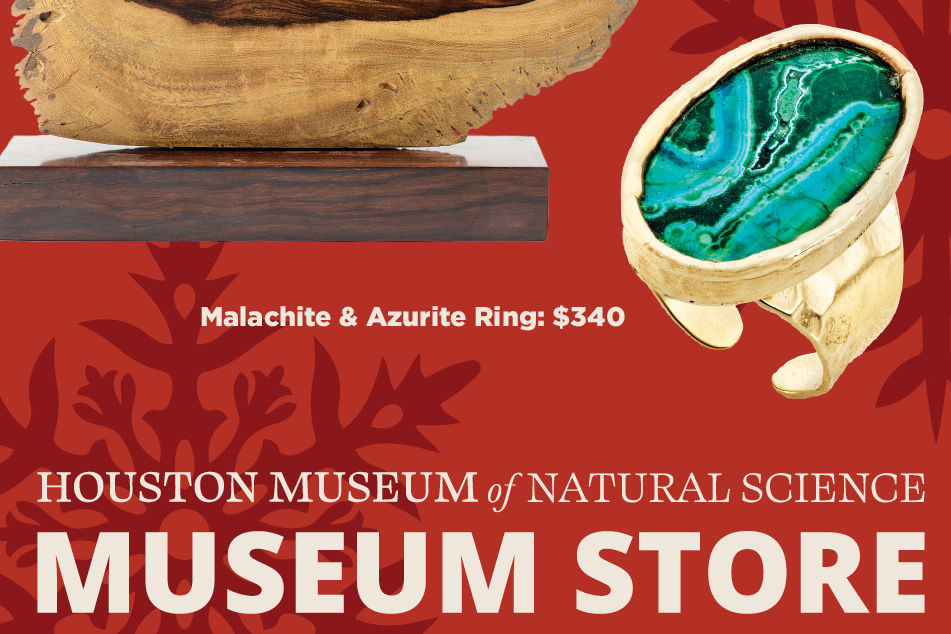 HMNS Museum Store: Gift Curiosity, Spark Wonder | Houstonia Magazine