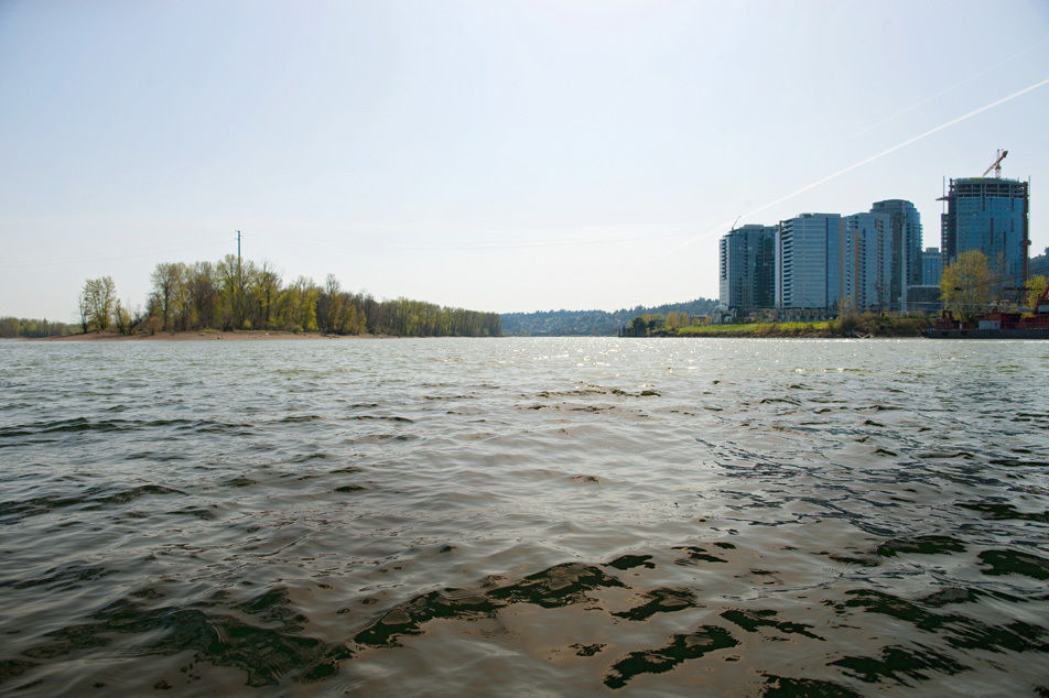 Paradise Ross | Portland Monthly