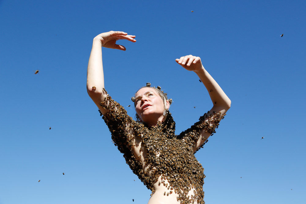 What Does it Feel Like to Wear a Blouse of Bees? | Portland Monthly