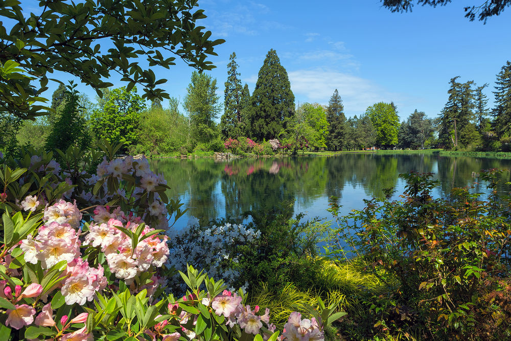 10 Places to Picnic in Portland Right Now | Portland Monthly