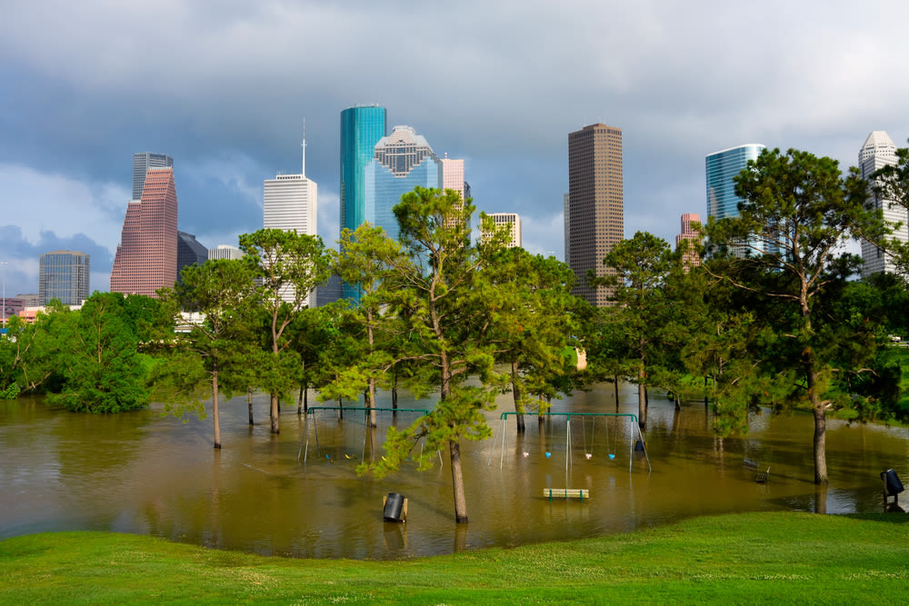 Shelter in Place? More Like Wallow in Fun! | Houstonia Magazine