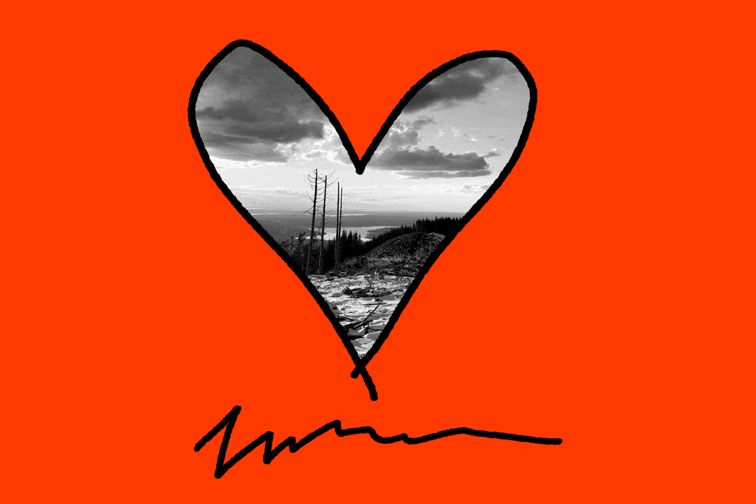 Love Letters: Seattle's Gnarliest Hiking Trail Is Punishing and ...