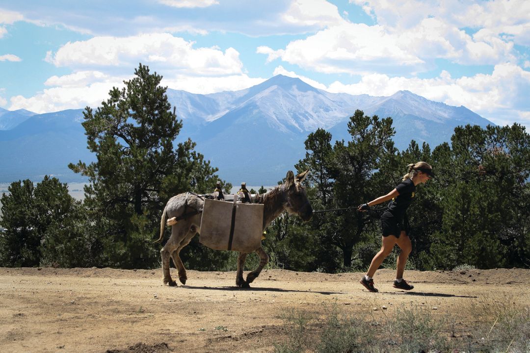 Get Your Ass in Gear and Go Burro Racing This Summer | Aspen Sojourner