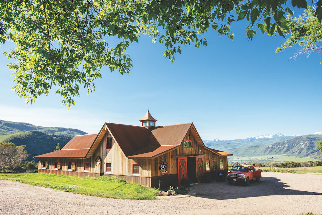 Cozy Point Ranch: Aspen's Original Horse Haven | Aspen Sojourner