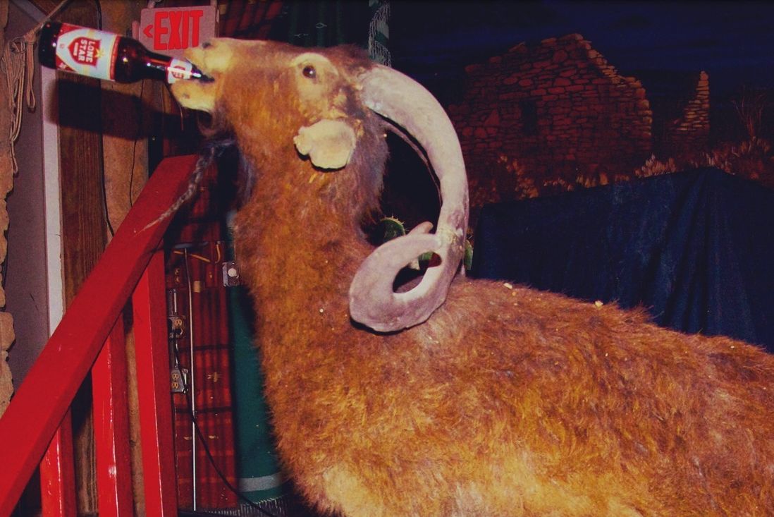 The Legend of Clay Henry | Houstonia Magazine