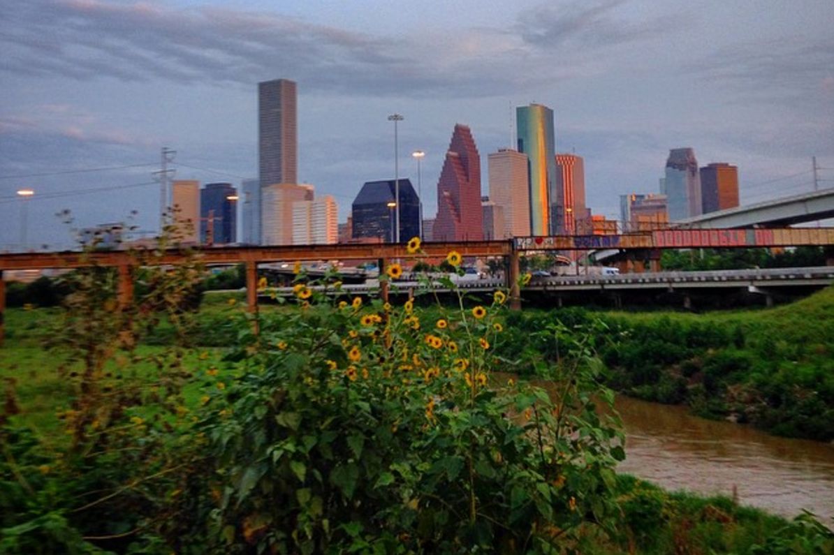 Plant the Seeds of Houston's Future Wildflowers This Weekend ...