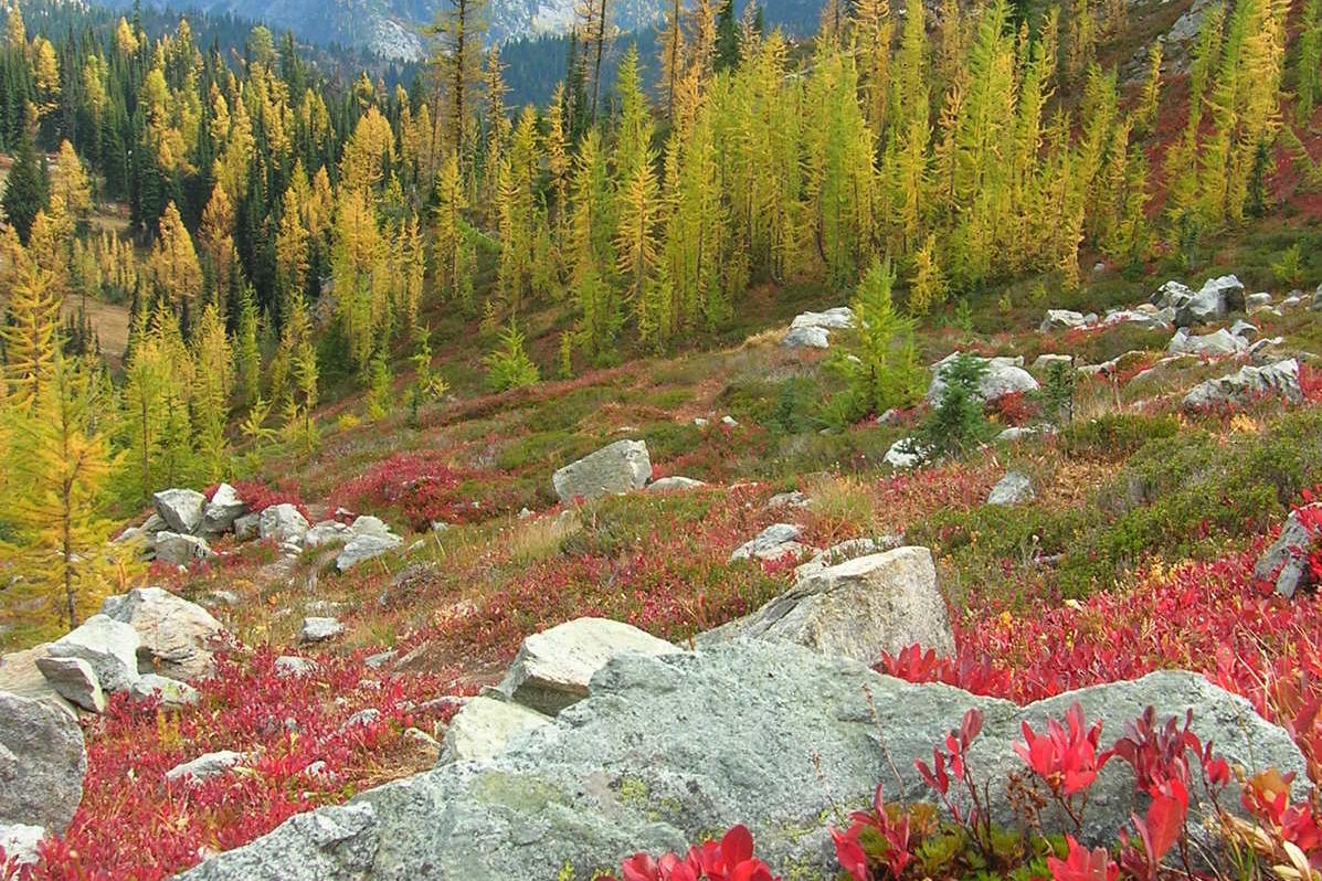 Try This Trail: Twisp Pass | Seattle Met