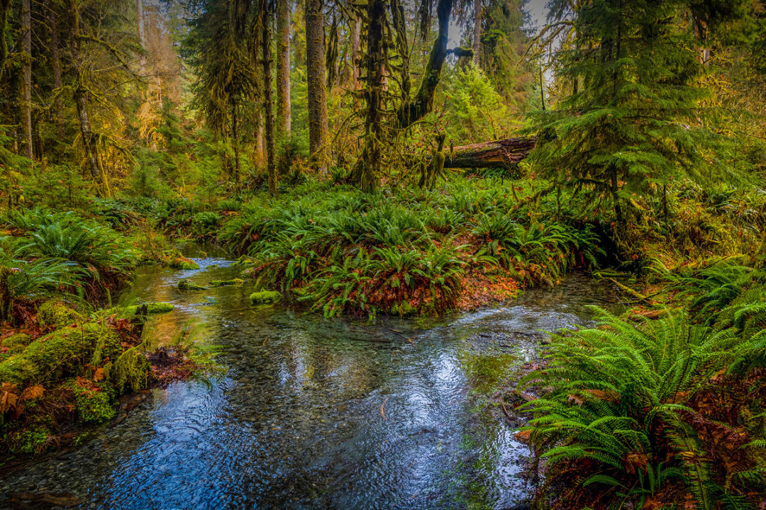 Here, Calm Comes Naturally. Find your Peace on the Peninsula | Seattle Met