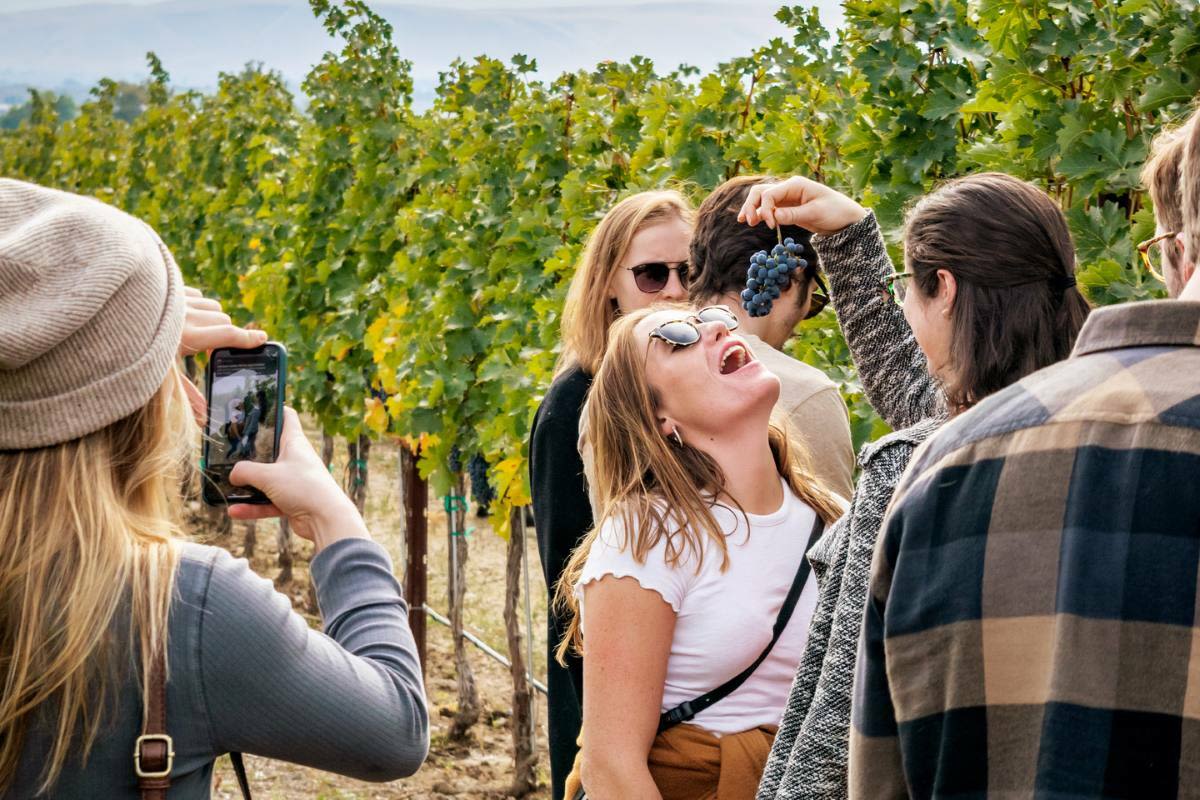 Harvest Sips, Food and Fun in Yakima Valley Wine Country | Seattle Met