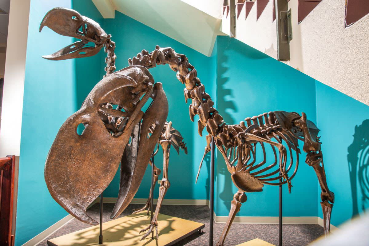 The Bishop Museum of Science & Nature | Activities | Sarasota Magazine